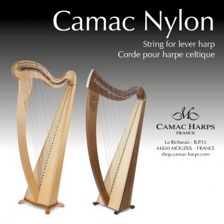 Corde de harpe
